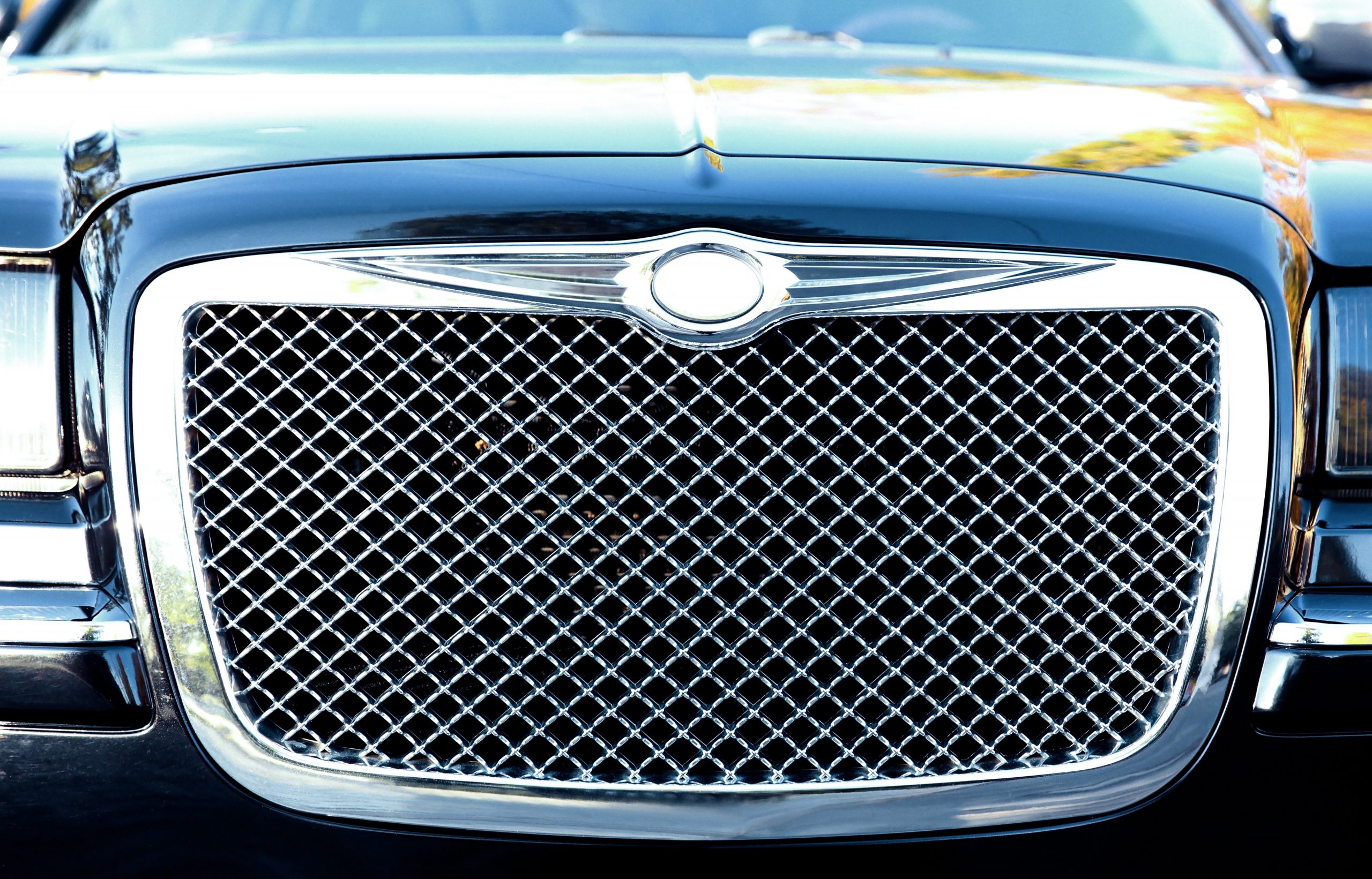 Car bumper grille store